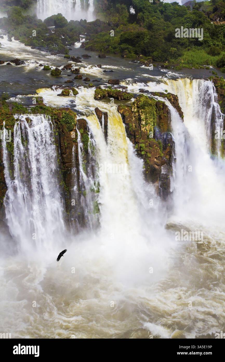 The most full-flowing waterfalls Iguazu. Andean condors fly in the ...