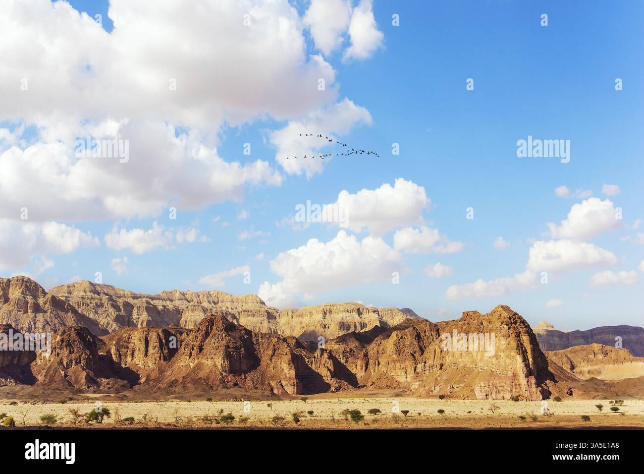 The southern Israel. Ancient multicolored mountains surround the ...