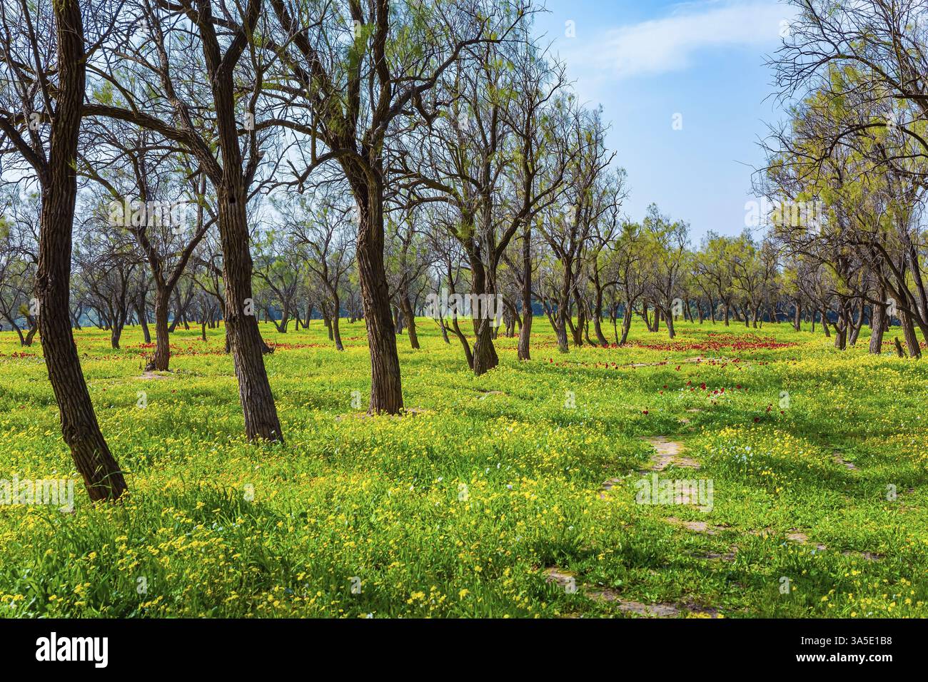 Israel. Spring festival in Beeri, on the border with the Gaza Strip ...