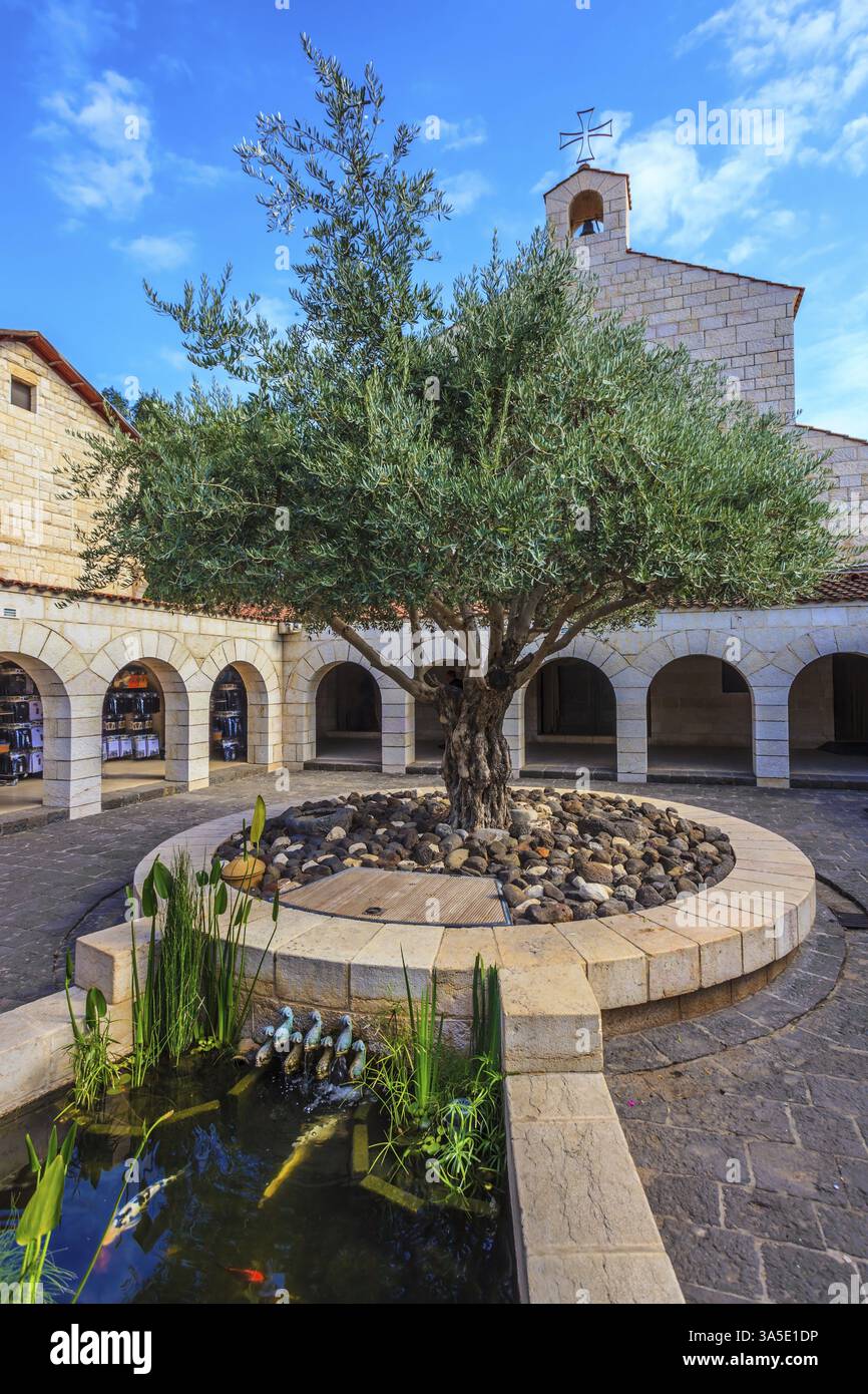 Small cozy church yard on the Sea of Galilee, Israel. Round bed with ...