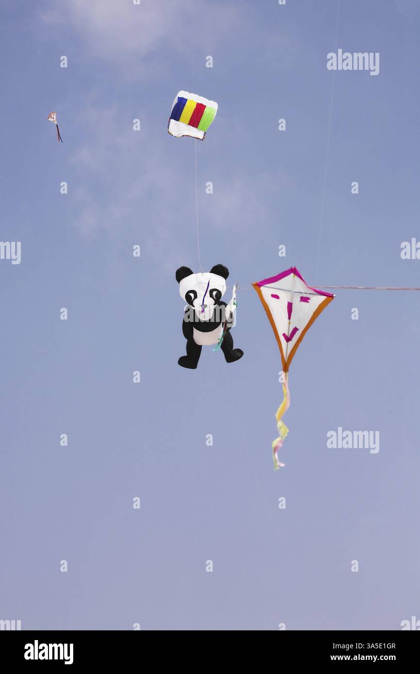 Kites of various forms on a children's holiday at the sea Stock Photo ...