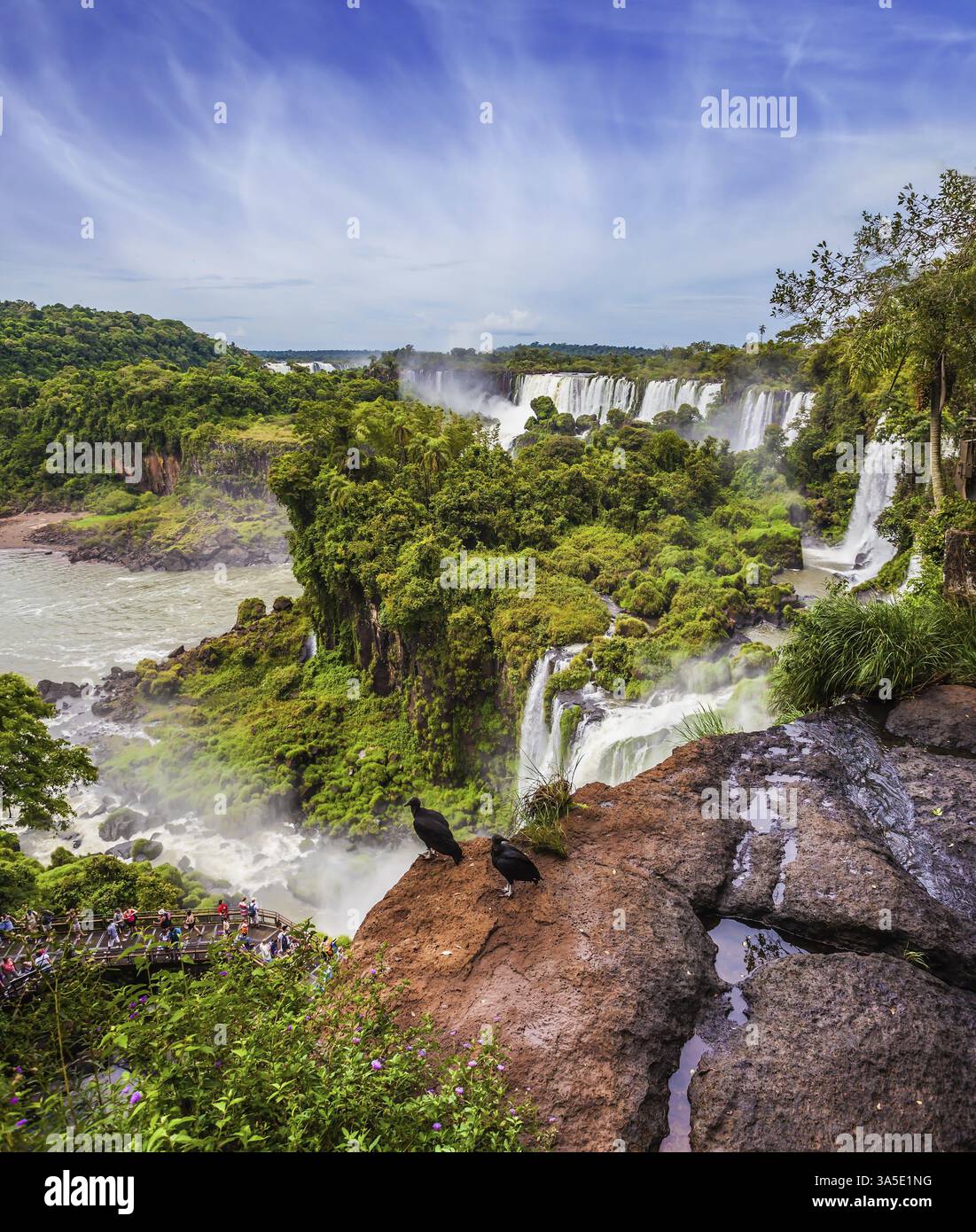 The famous black Andean condors sit on the edge of the ledge ...