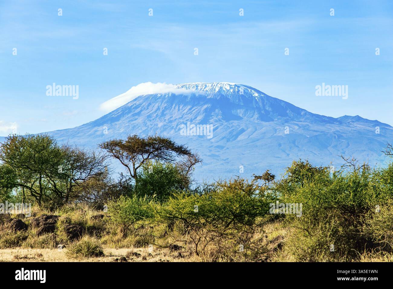 The famous snow-capped Mount Kilimanjaro in the middle of the flat ...