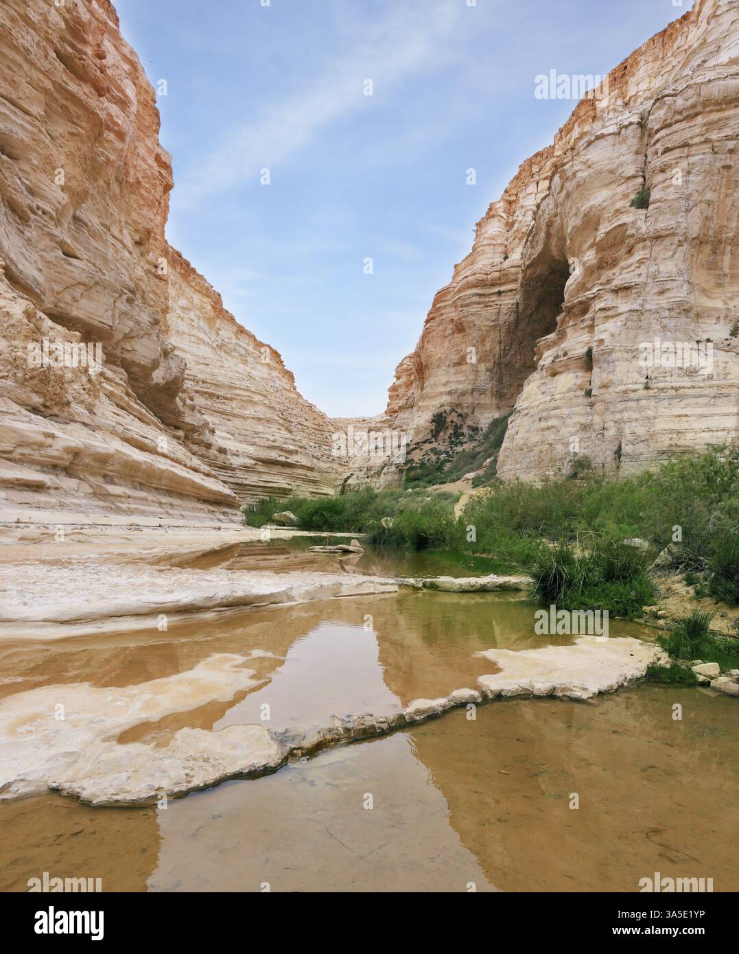 Magnificent canyon, creek and picturesque waterfall. Ein Avdat National ...