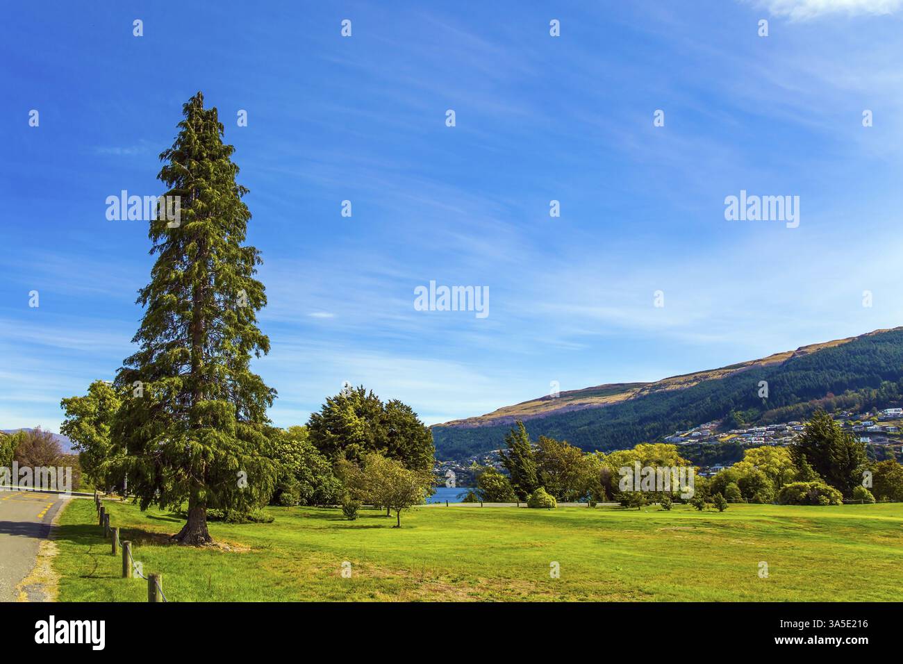 Travel to New Zealand, South Island. The surroundings of the city ...