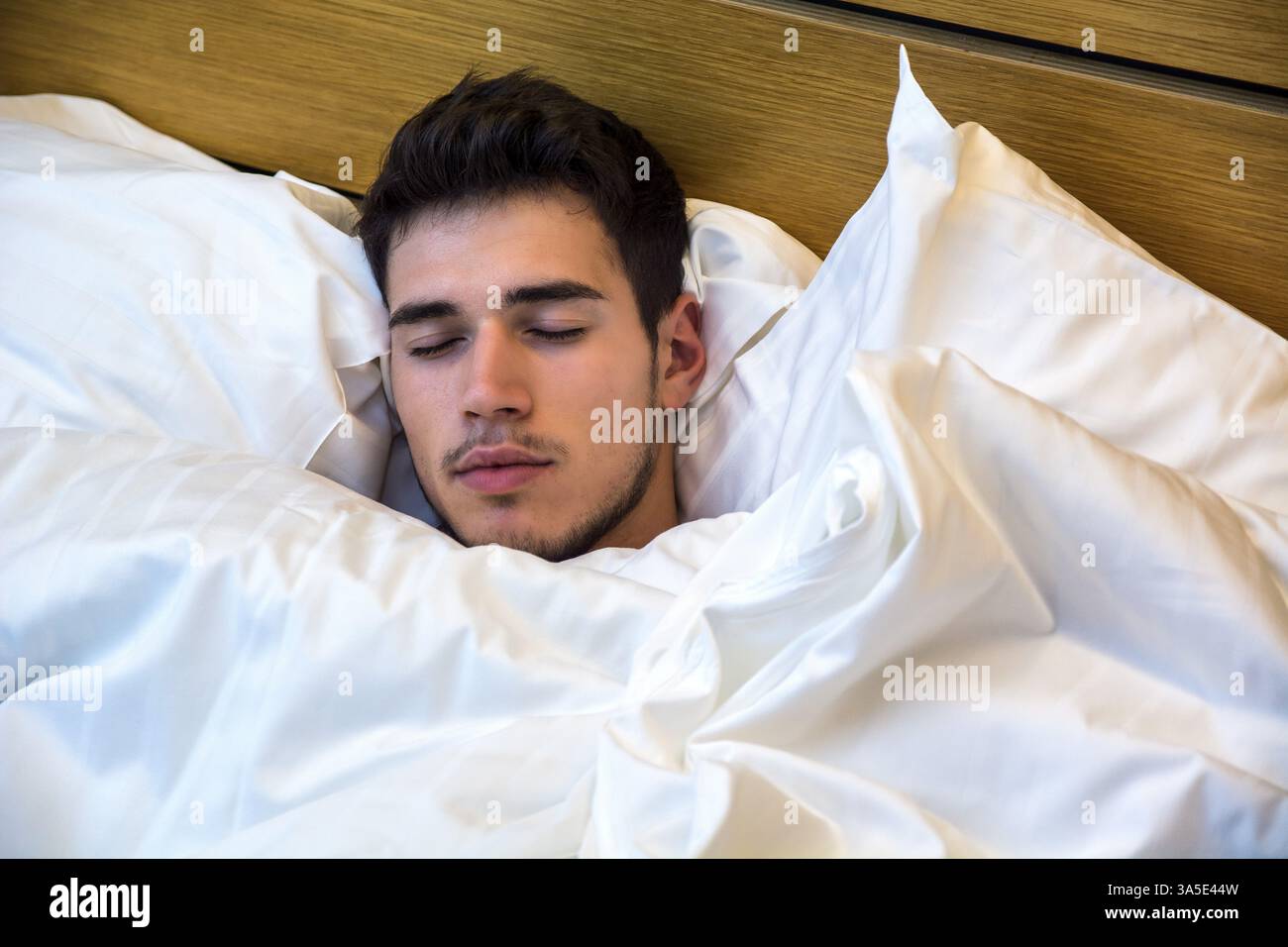 Attractive male model lying alone in his bed, sleeping, totally covered ...