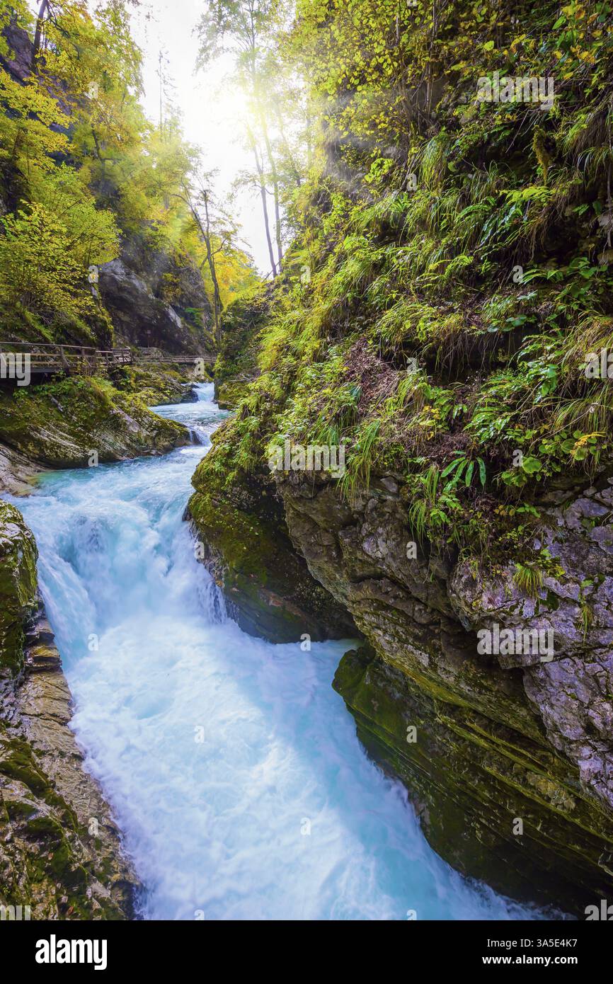 Bubbling and roaring foamy rapids and waterfalls. The mountain river ...