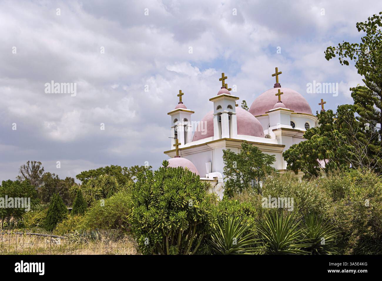 Pink domes and snow-white walls of the monastery on the shores of the ...