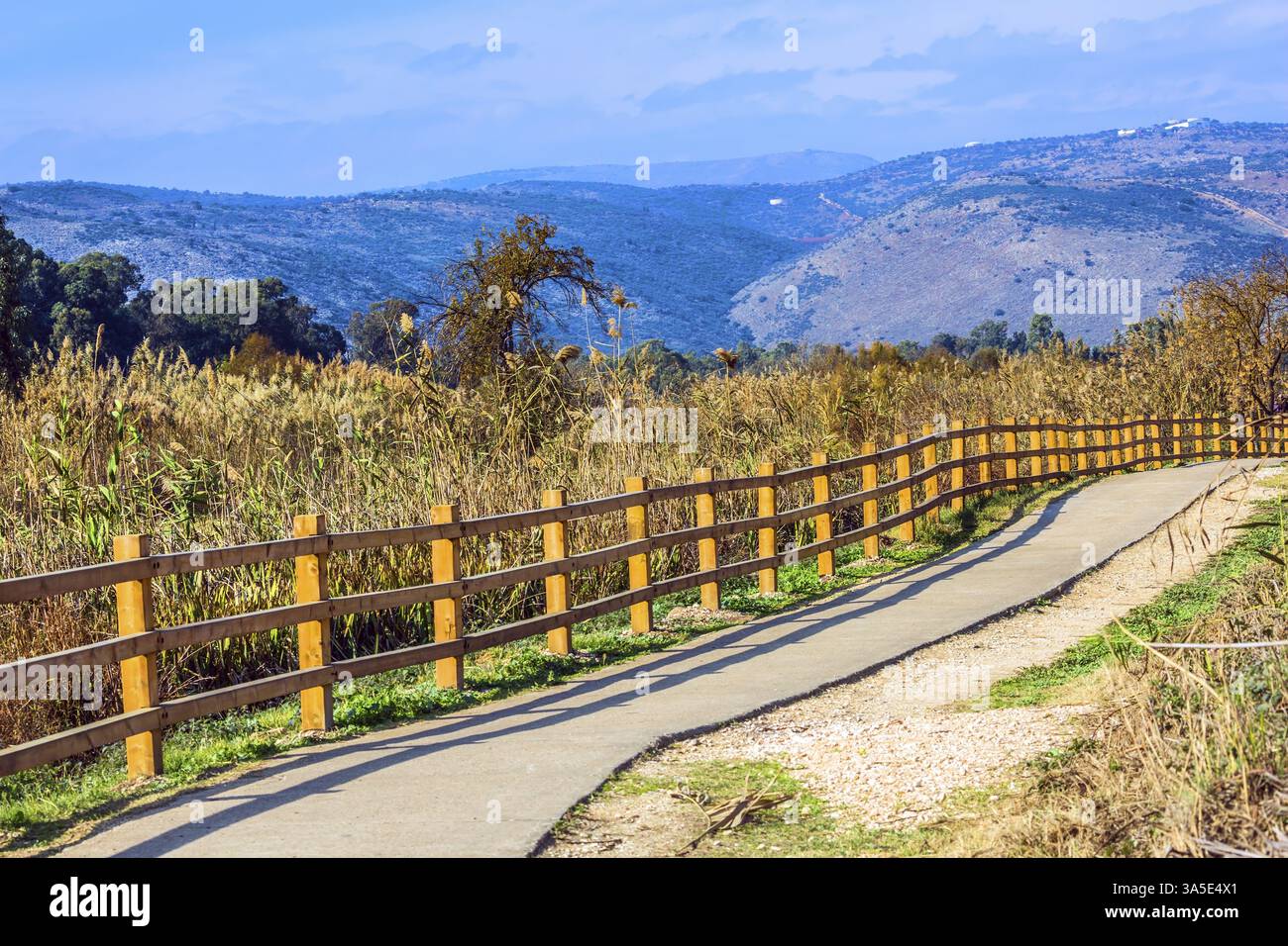 Fenced path in the park of Lake Hula. Hula Nature Reserve, Israel, Asia ...