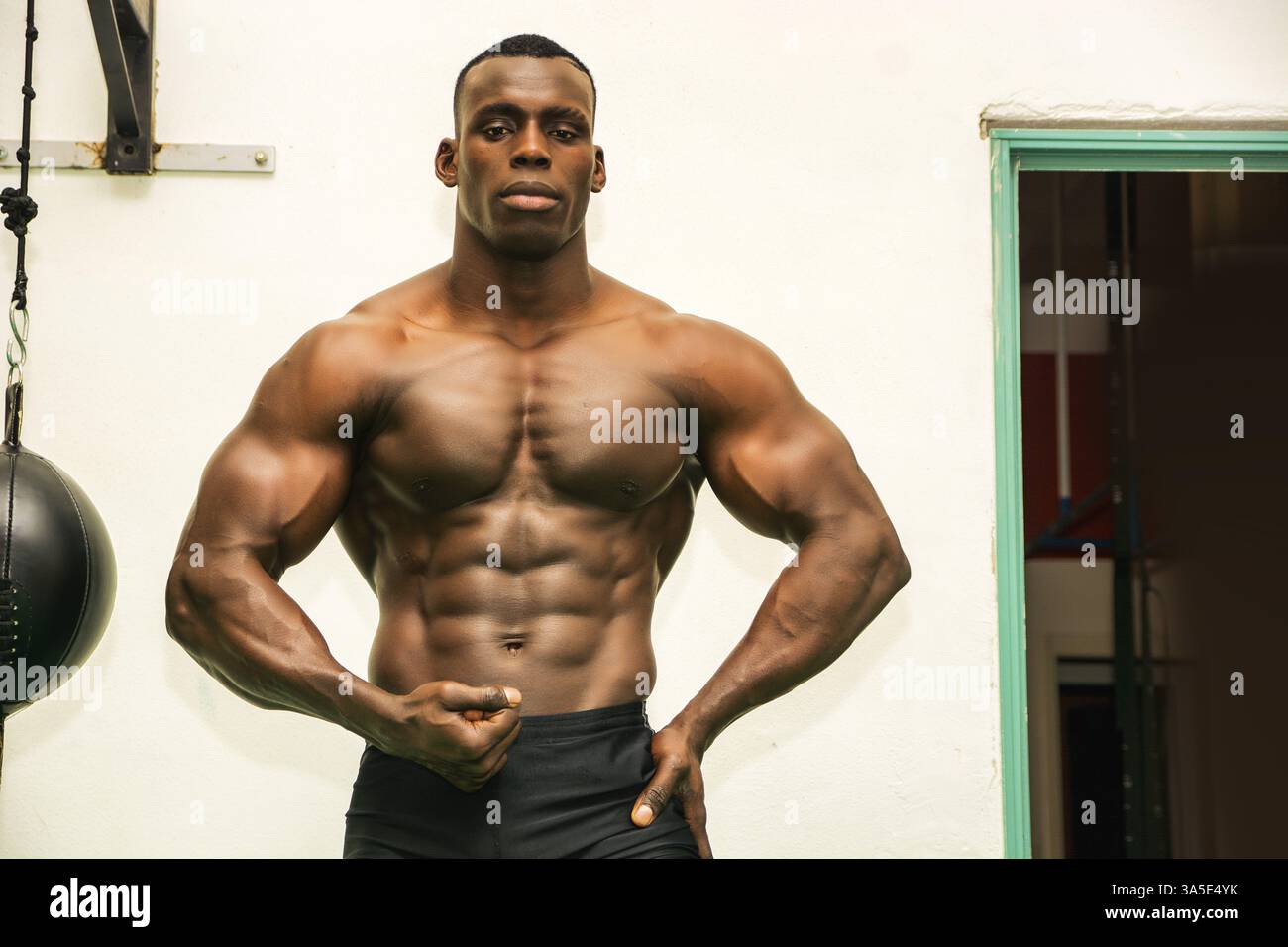 Attractive hunky black male bodybuilder doing bodybuilding pose in gym ...
