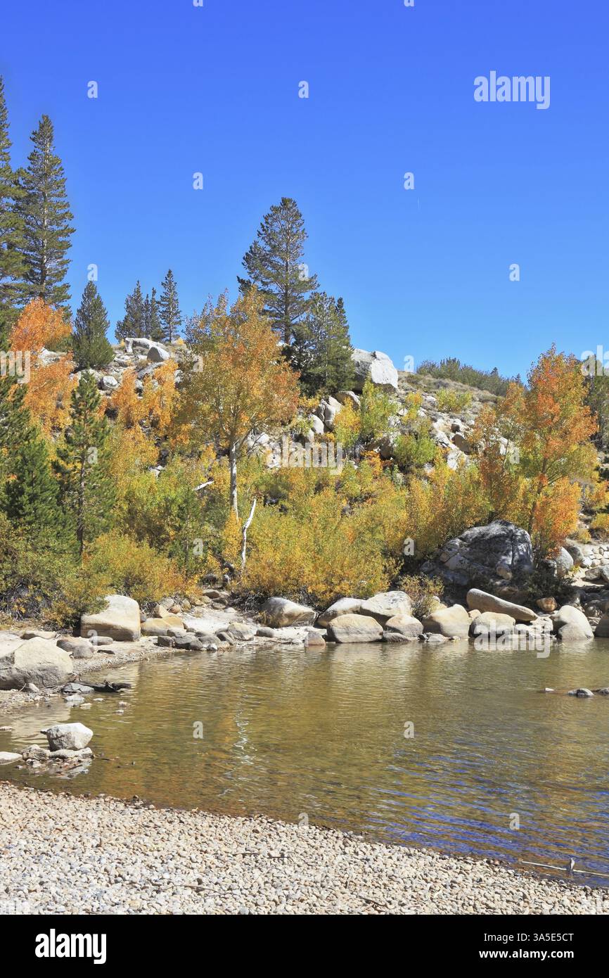 Tranquil lake reflects trees hi-res stock photography and images - Alamy