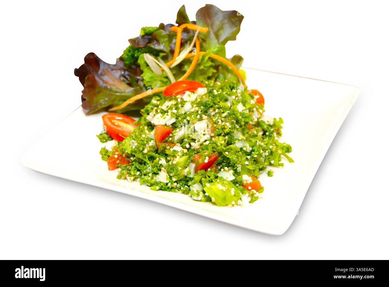 Die cut of Thai Spicy tomato Salad with Red Oak Lettuce on white ...