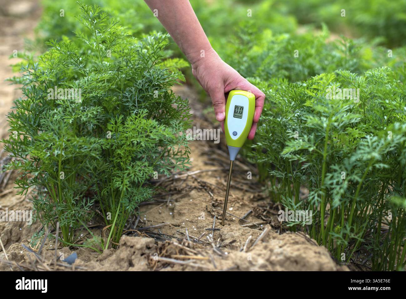 Measure soil with digital device. Green plants and woman farmer measure ...