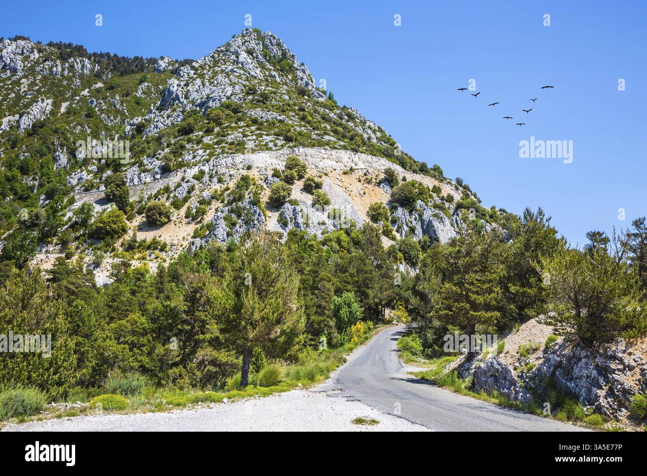 The largest alpine canyon Verdon, Provence, France. Turn of the ...