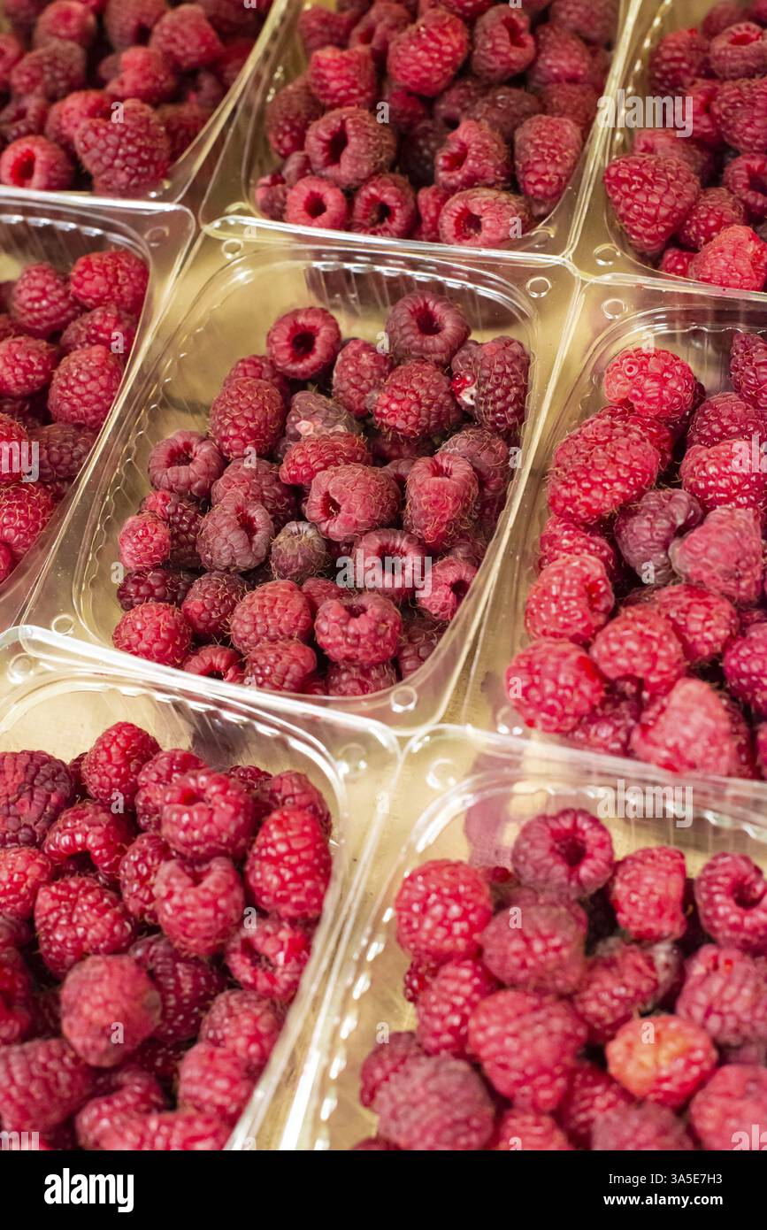 Raspberries on shelf in the market. Sorted fruits in transparent ...