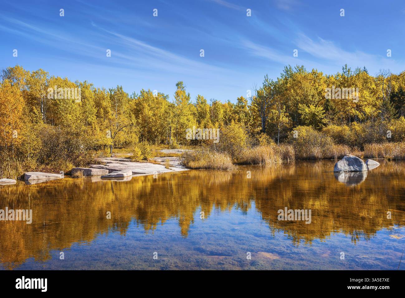 The Winnipeg River. Yellow autumn grass is reflected in the smooth ...