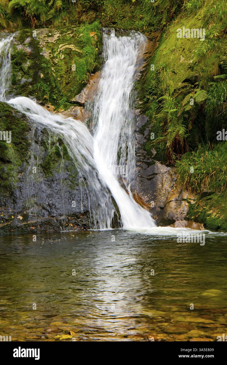 The Black Forest /Schwarzwald/ - famous forest in the center of Europe ...
