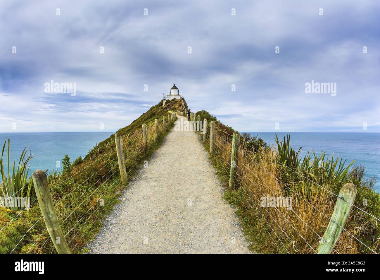 Direct path protected by a fence leads to the lighthouse. Nugget Point ...