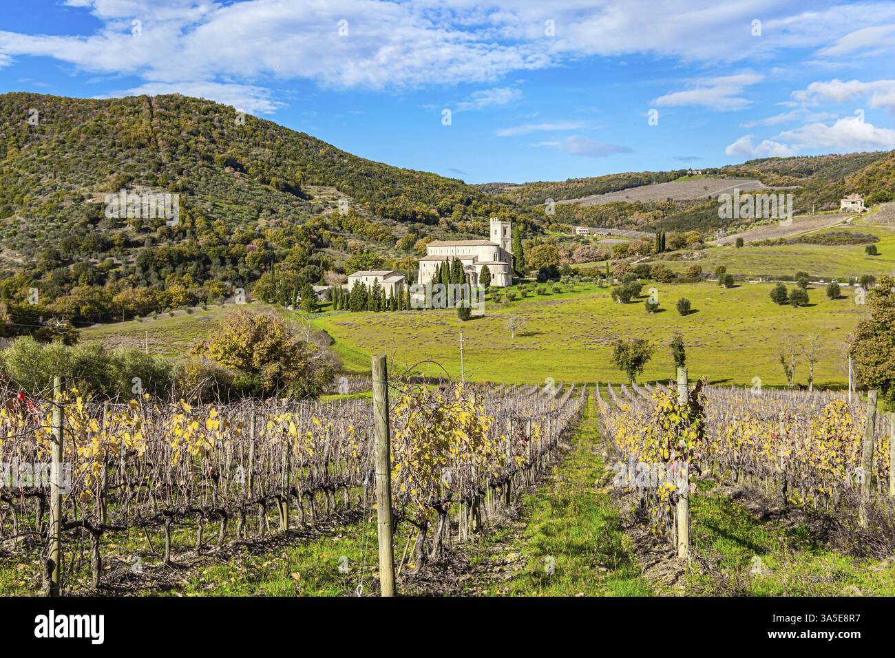 The magnificent snow-white abbey of Sant Antimo among green grassy ...