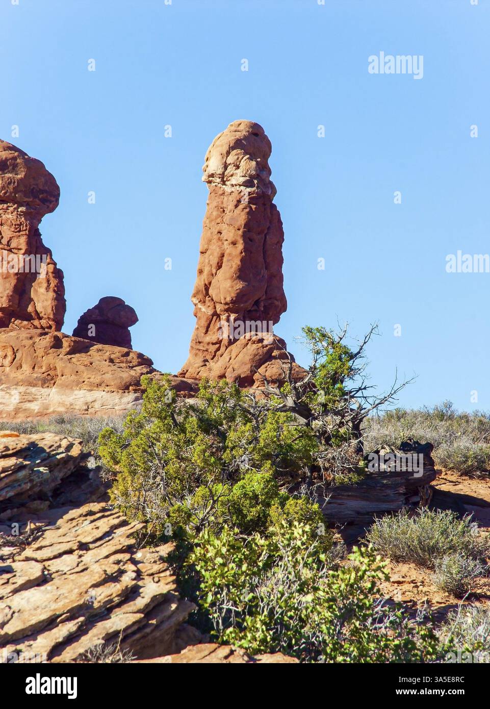 Grandiose rock compositions created by nature, natural origin, the ...