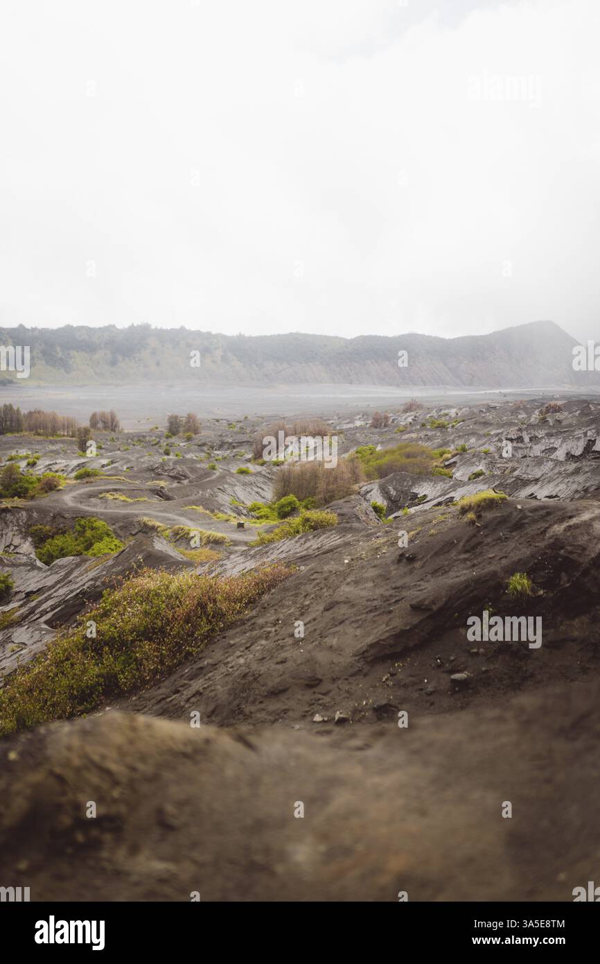 A barren volcanic landscape with rocks and sparse vegetation under a ...
