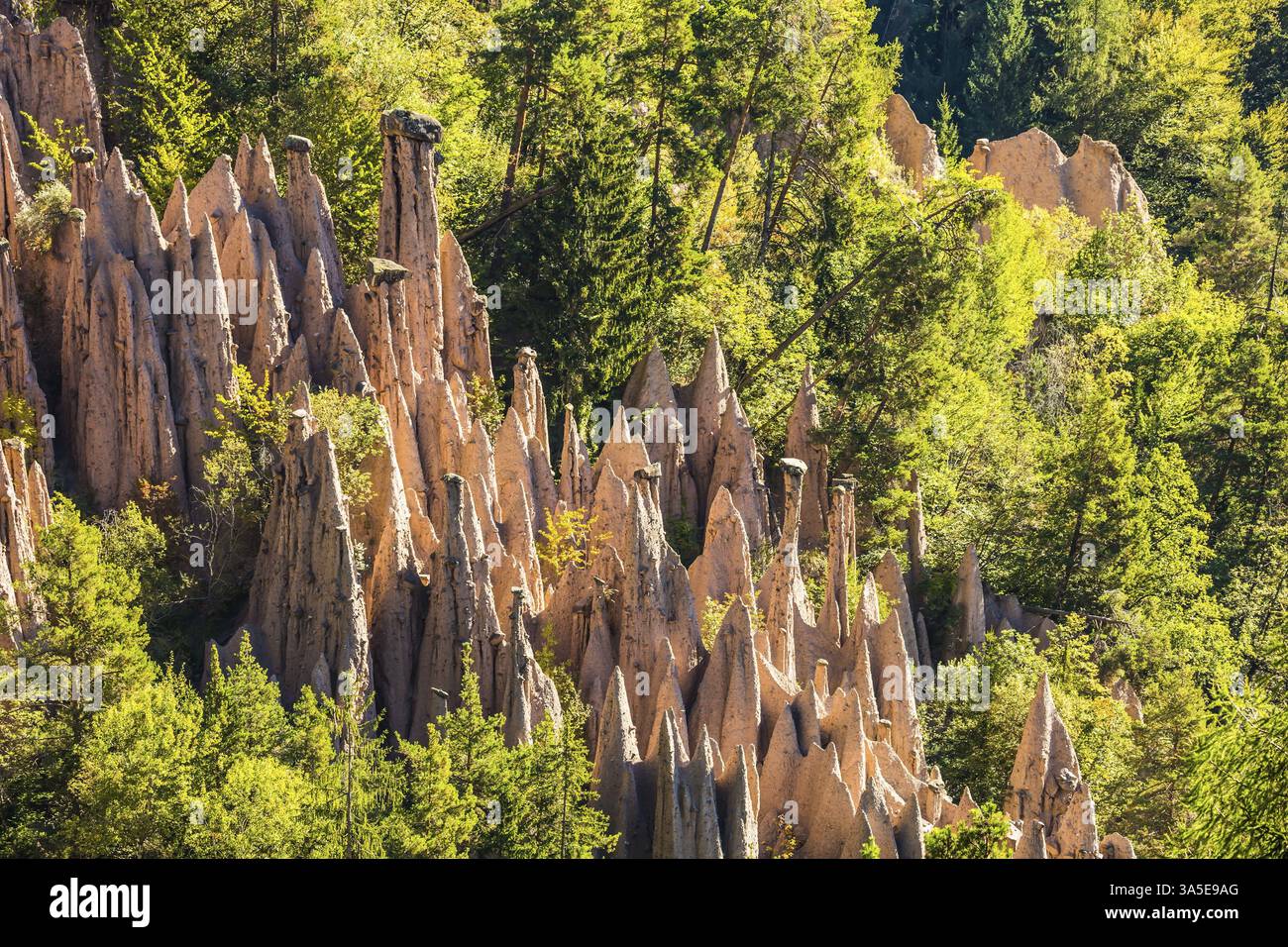The concept of ecological tourism. Magnificent Dolomites in Tyrol ...