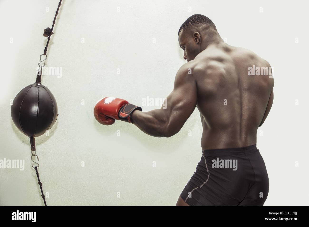 African male boxer punching ball wearing boxing gloves, back profile ...