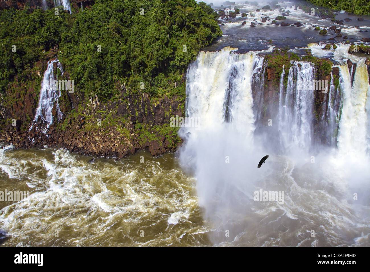 In the water dust Andes condors fly. Most abounding in water Iguazu ...