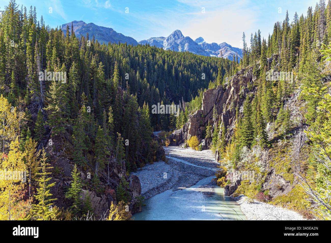 Shallow mountain stream with glacial melted water. Rocky Mountains of ...