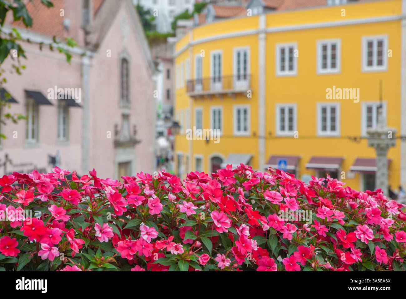 Sintra urban flower planter, Portugal. Major tourist destination of ...
