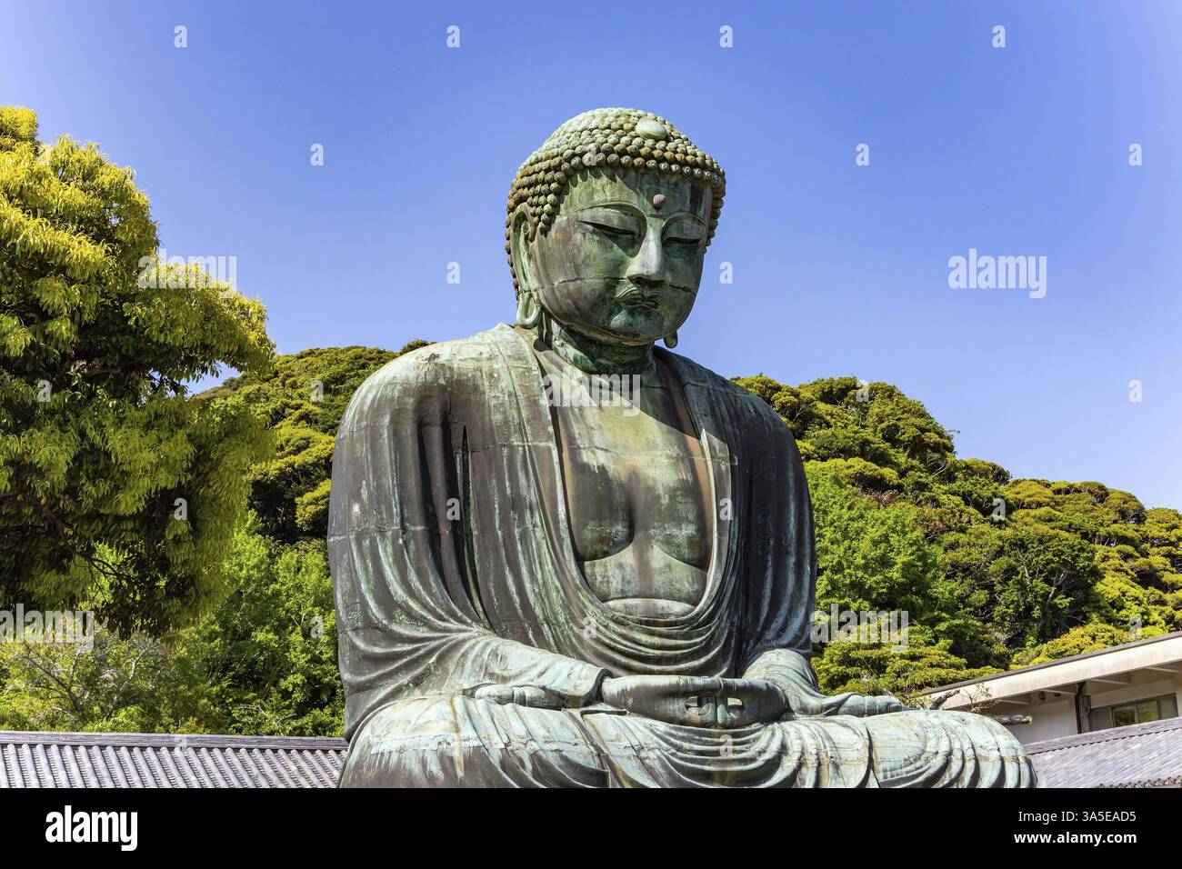 Bronze statue of the Giant Buddha in the city of Kamakura, or Kamakura ...
