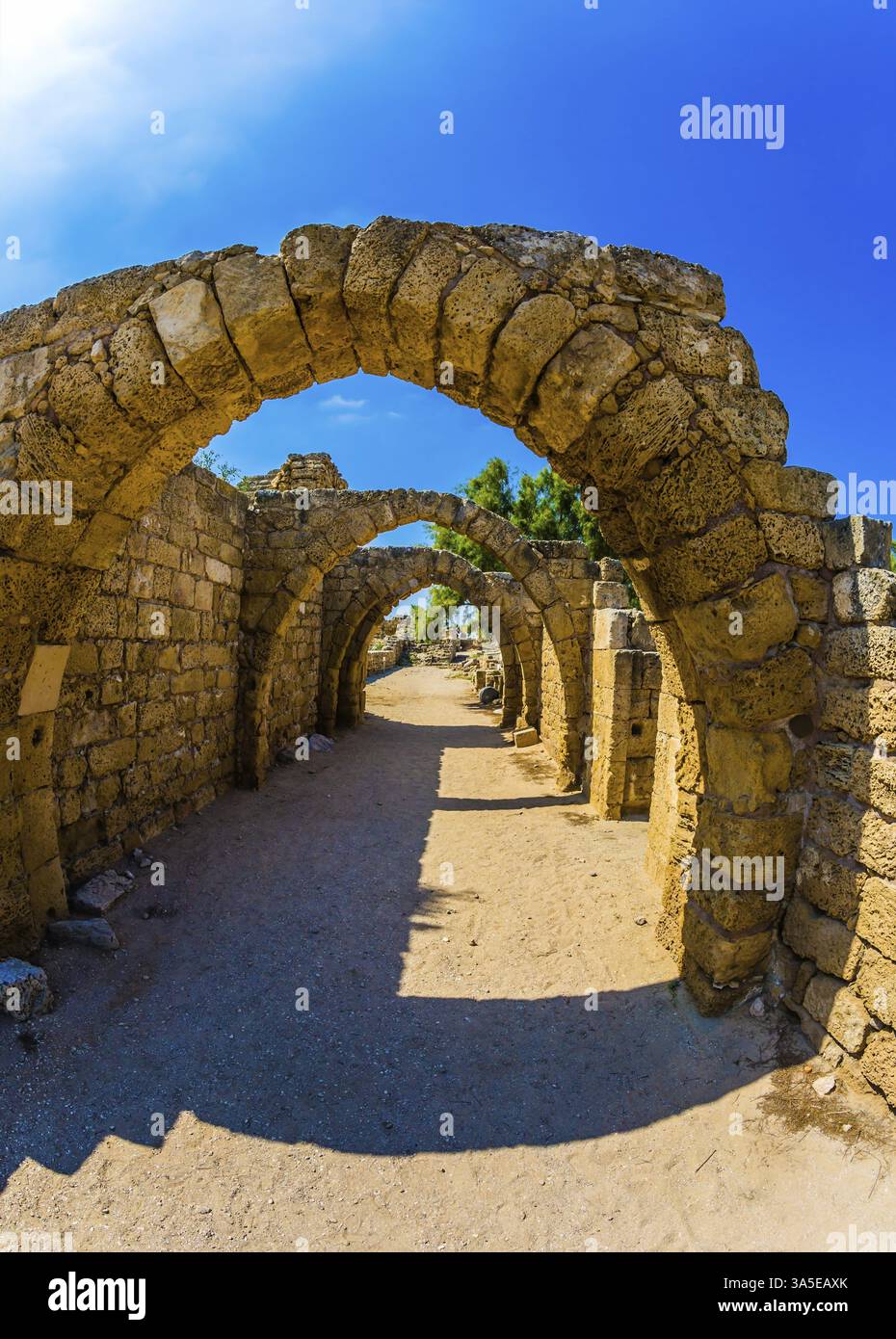 Excursion to the Archaeological Park of the Roman Empire in ancient ...