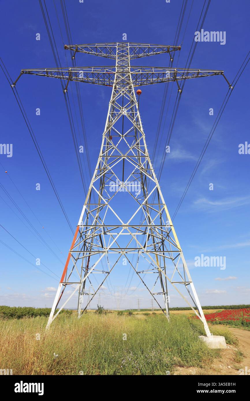 Support high-voltage power lines. Spring flowering fields in Israel ...