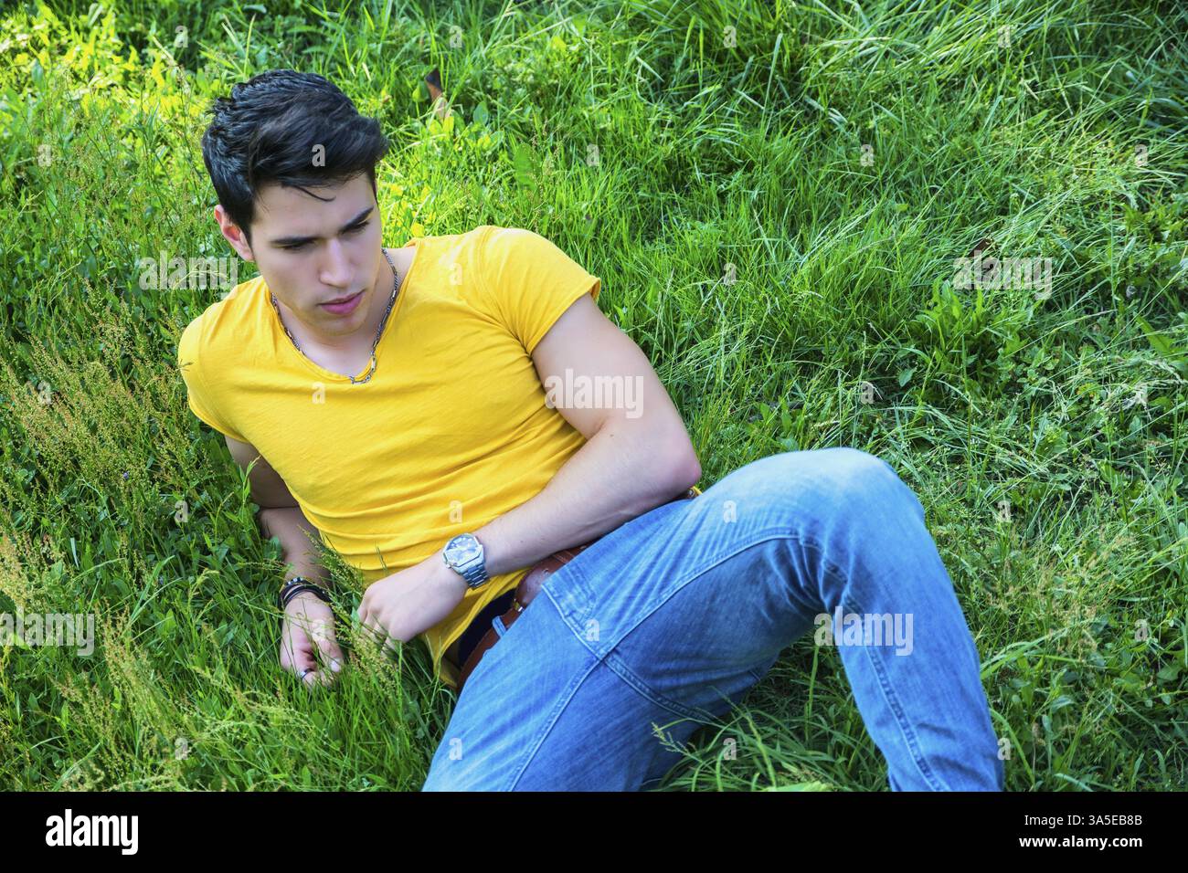 Attractive, fit young man relaxing lying on lawn grass in the ...