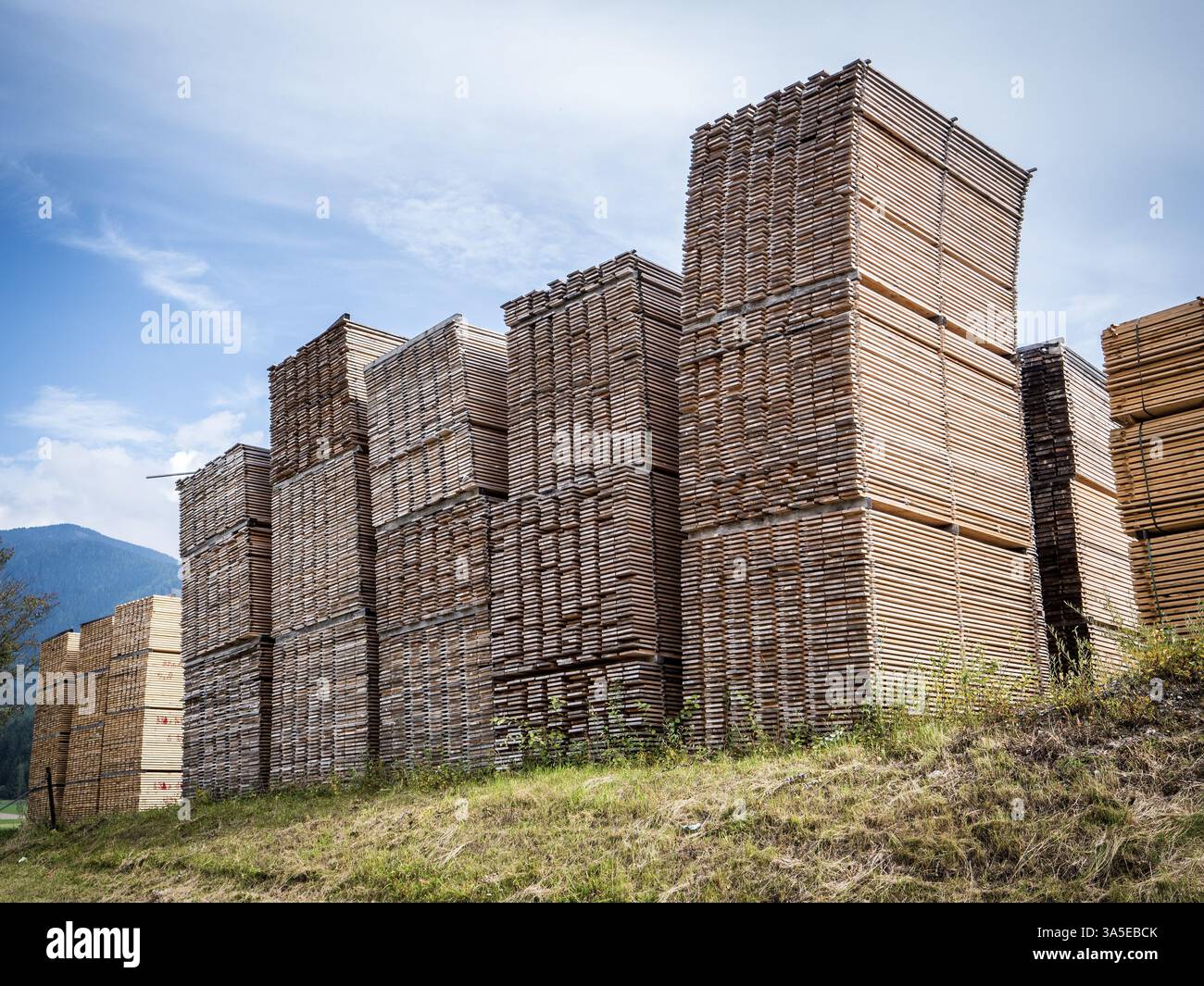 View wood planks stacked in huge piles in sawmill factory Stock Photo ...