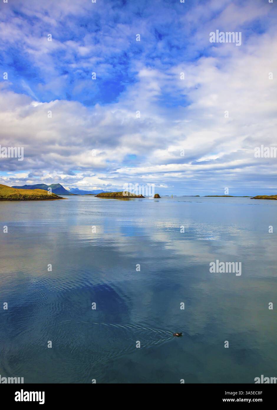 Usual summer in Iceland. Smooth water of the cold fjord reflects clouds ...