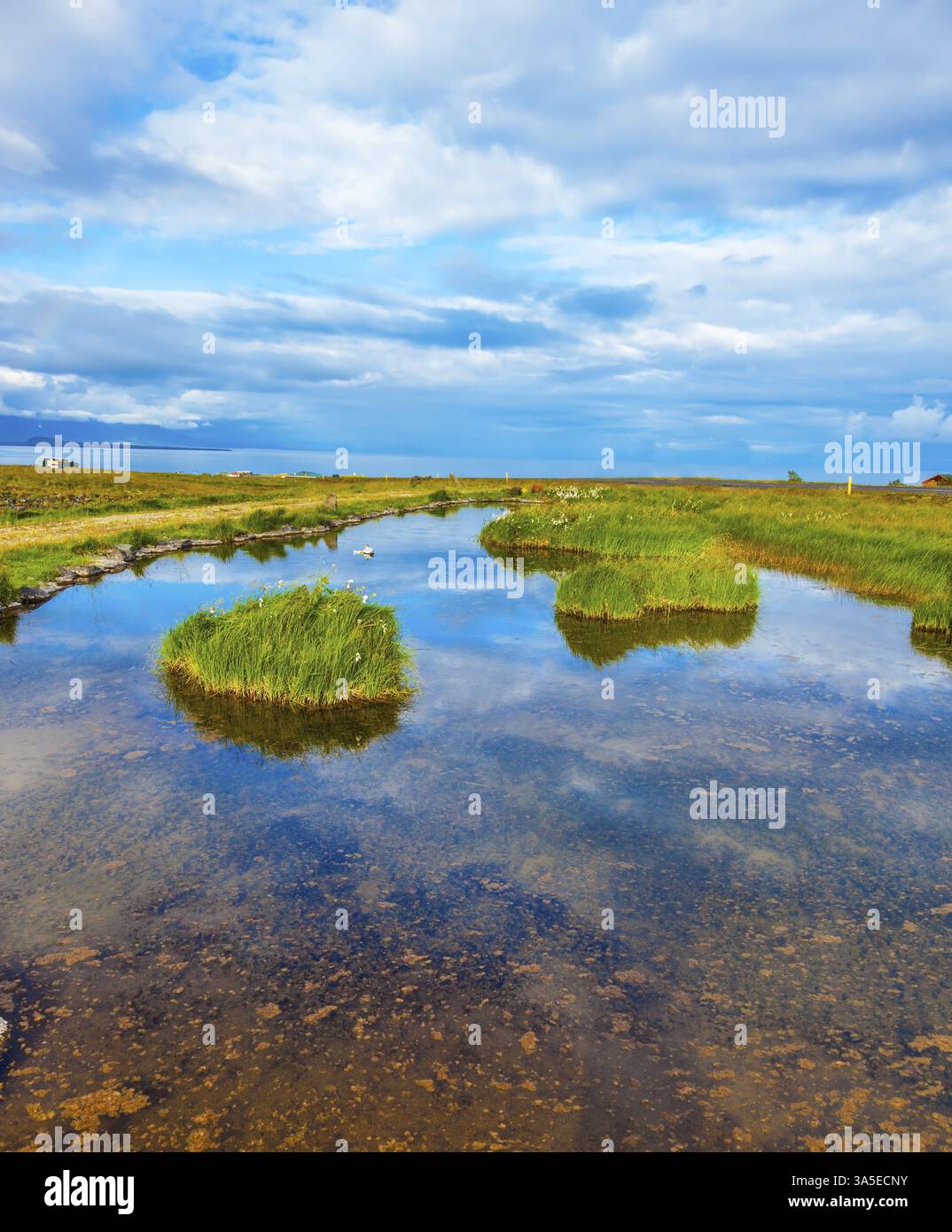 Lovely pond with thermal water. On small islands grows tall grass Stock ...