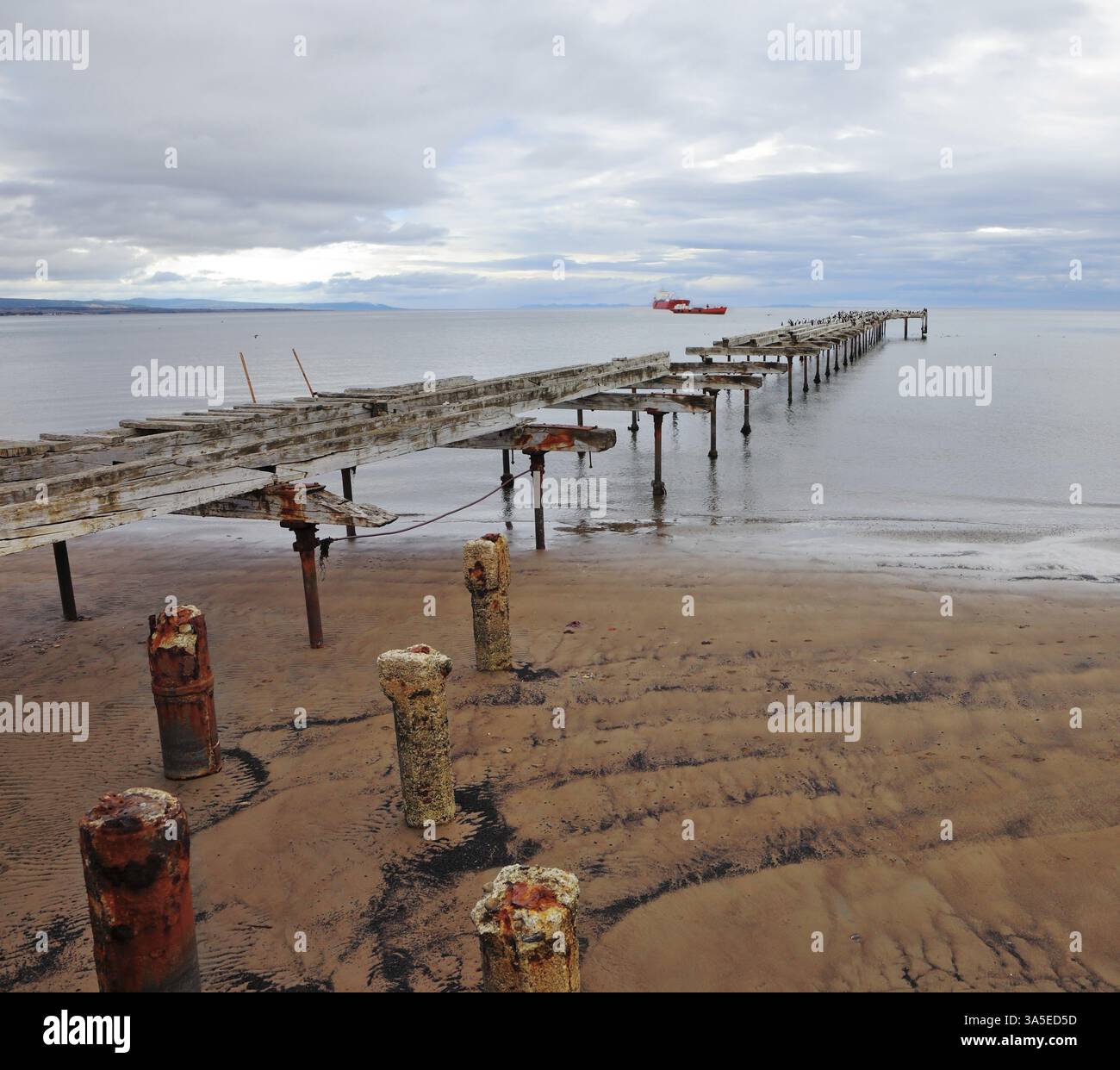 Collapsed on a wooden platform sitting flocks of sea gulls. Old ruined ...