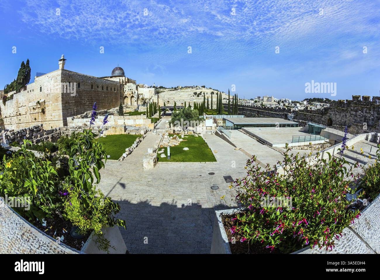 Magnificent flower garden. Black dome of Al-Aqsa mosque. The walls of ...
