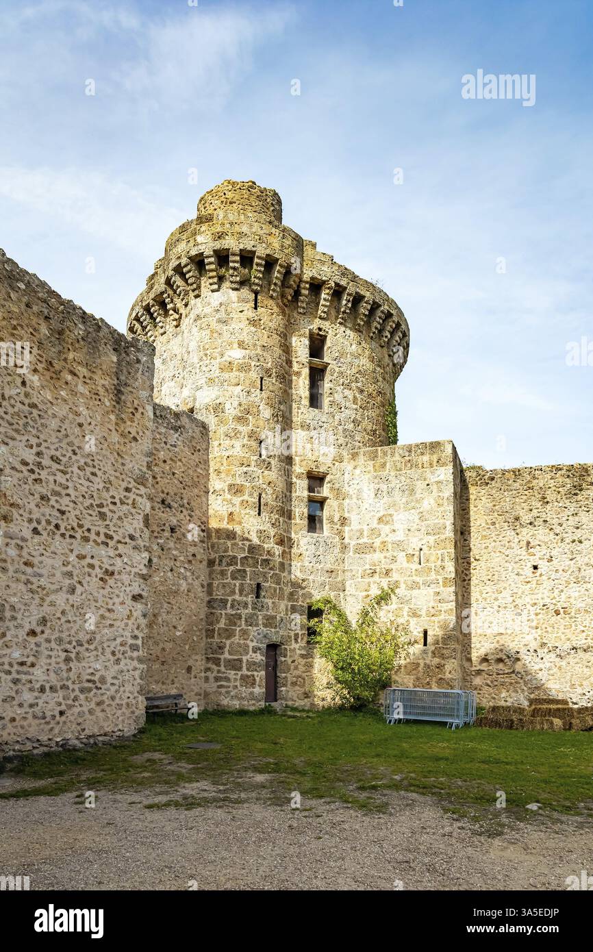 Defensive walls and round watchtower. The castle courtyard is overgrown ...