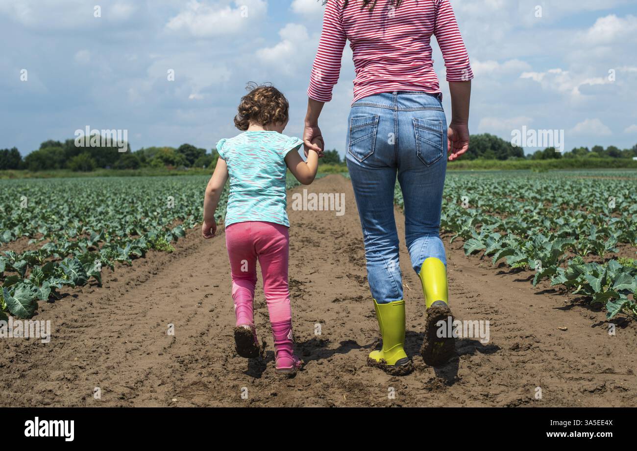 Woman and child on cabbage plantation. Agriculture concept with mother ...