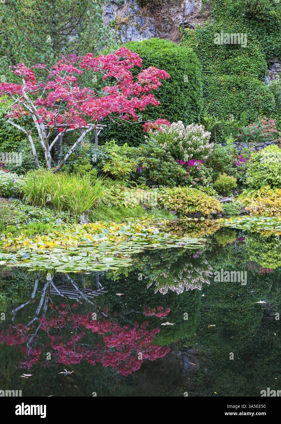 Amazing landscape and floral park Butchart Gardens on Vancouver Island. In a small pond ...
