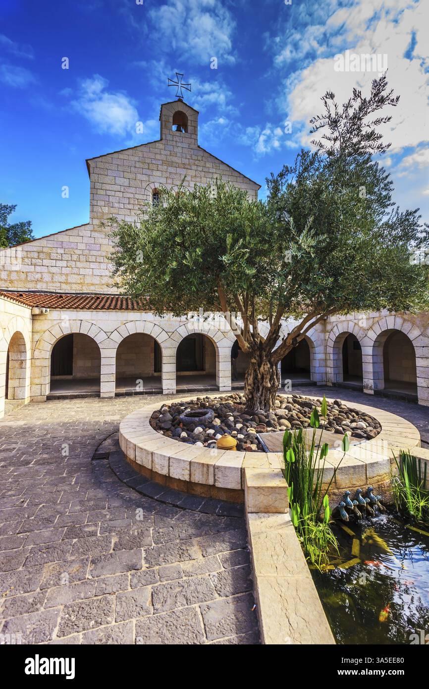 Round bed with olive trees and pond with goldfish. Small cozy church ...