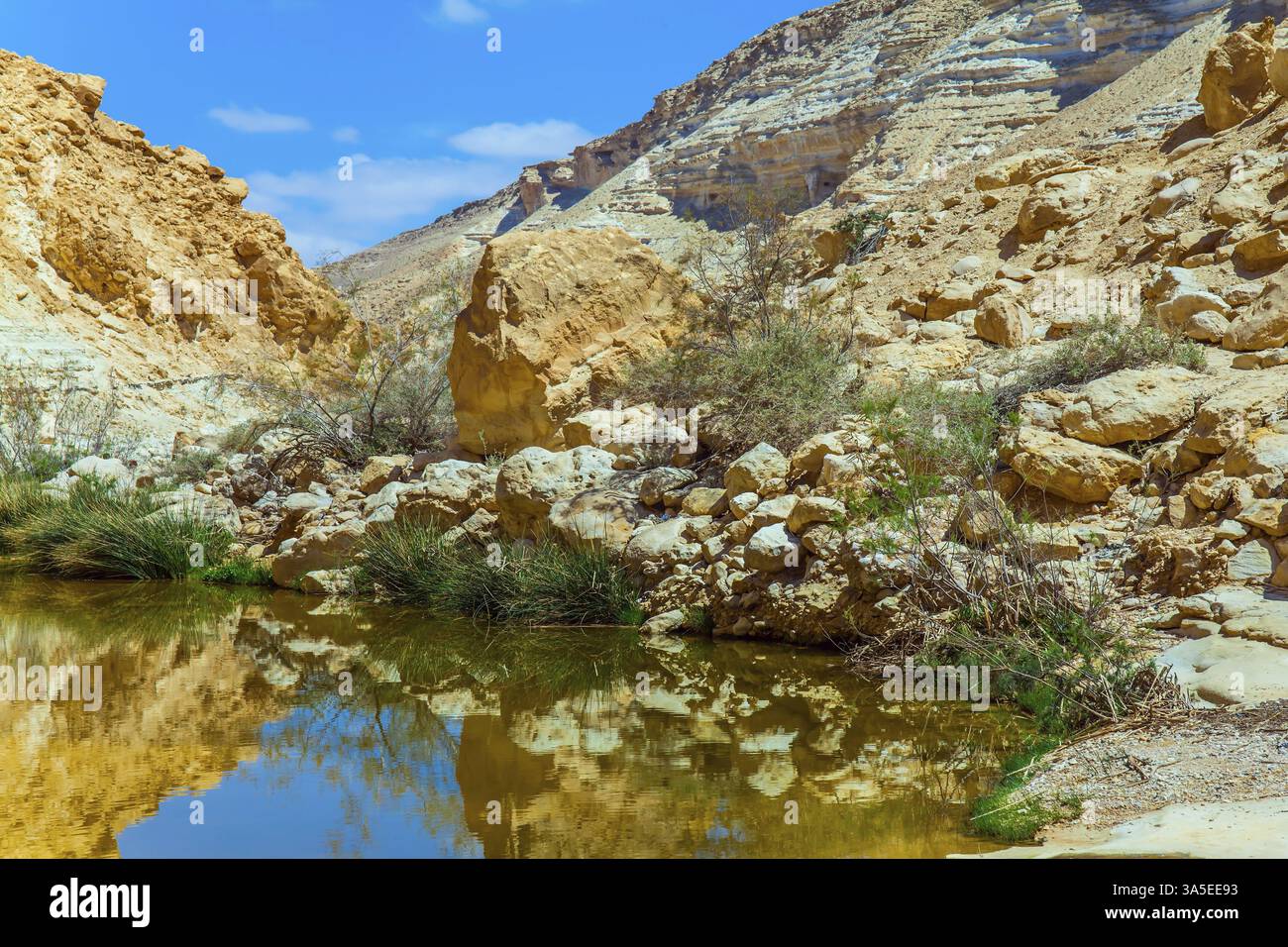 Zin symbol hi-res stock photography and images - Alamy