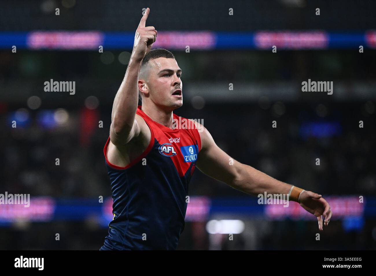 Daniel Turner of the Demons celebrates scoring a goal during the AFL ...