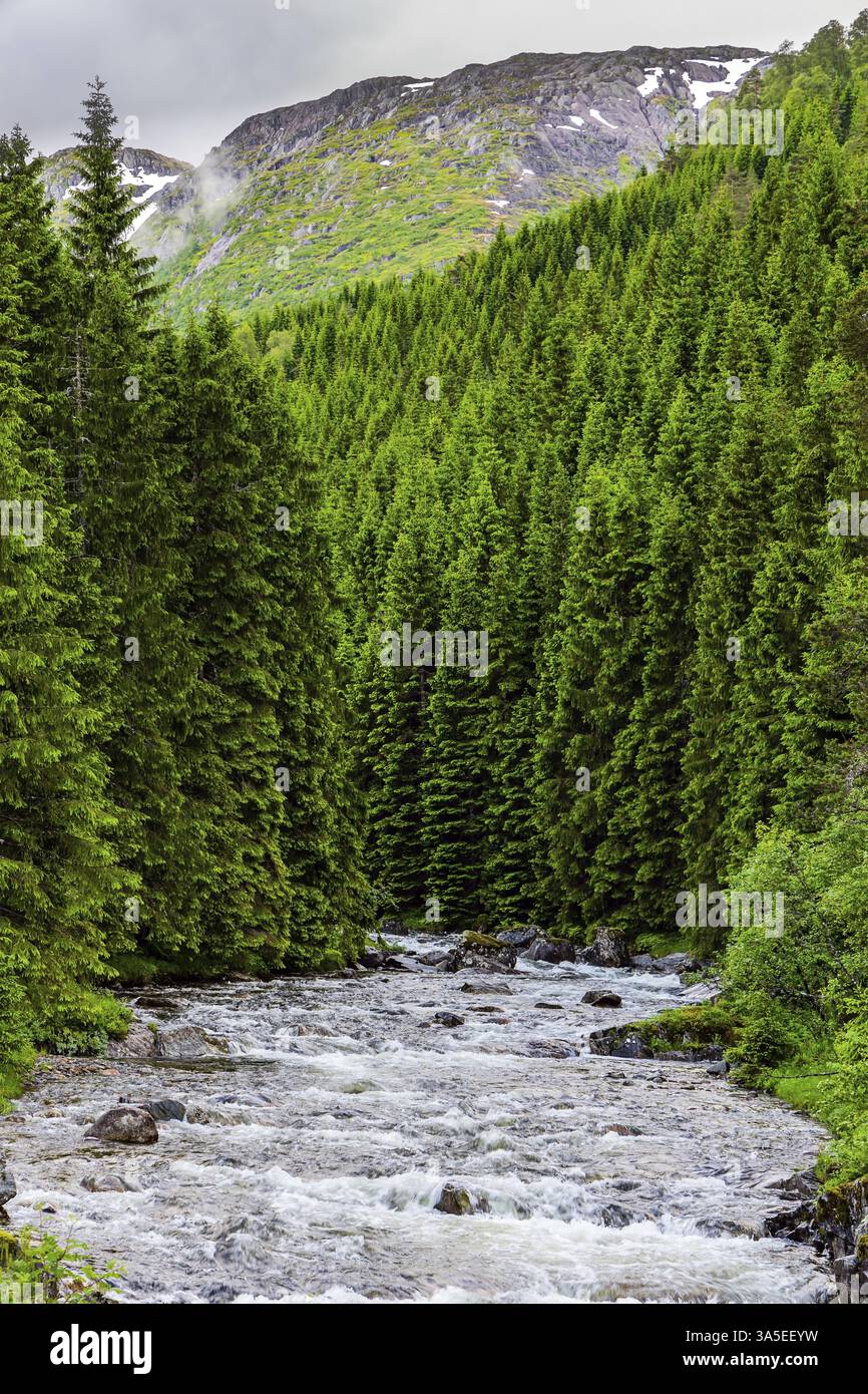 Narrow road passes through hi-res stock photography and images - Alamy