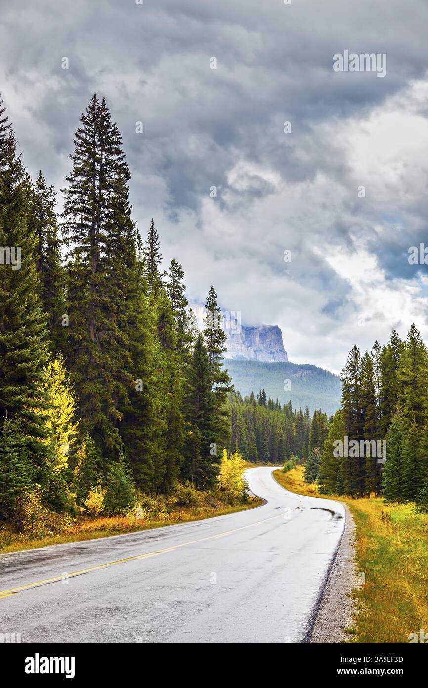 Lovely Golden Autumn in Banff National Park. Highway among orange grass ...