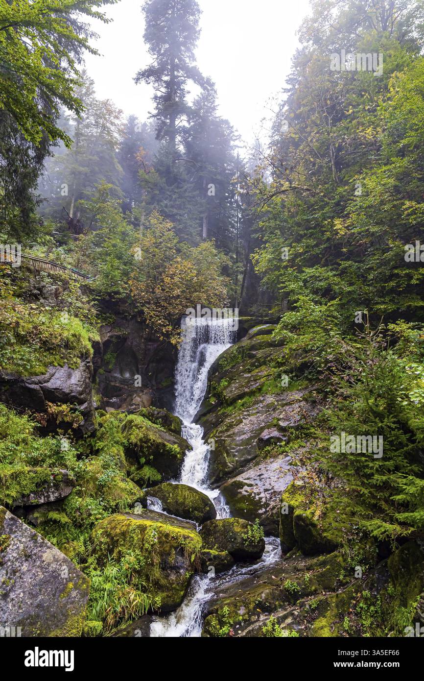 Triberg, the most beautiful non-alpine waterfall in Germany ...