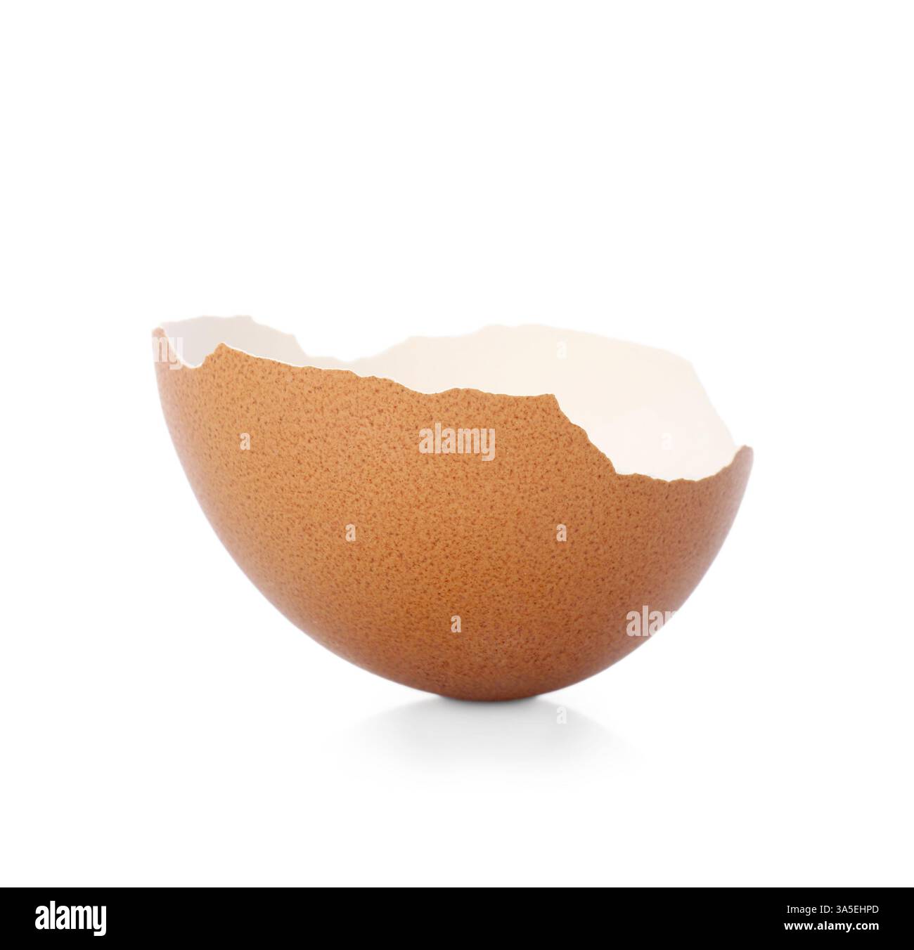 One piece of broken eggshell on mirror surface against white background ...