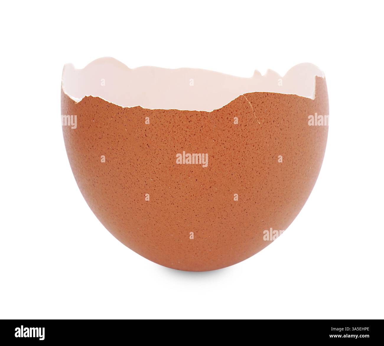 One piece of broken eggshell isolated on white Stock Photo - Alamy